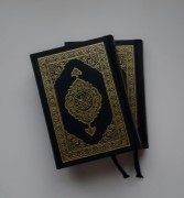 Learn Nazra Quran with Tajweed Course | ilm Noor